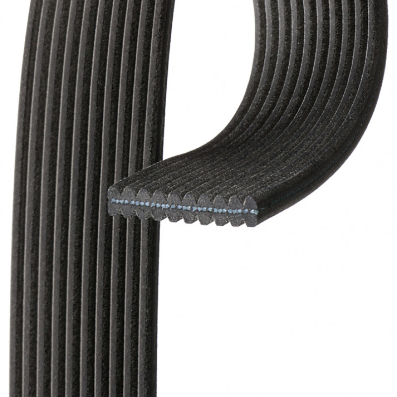 ACDelco Serpentine Belt 19311027 - Fast shipping in USA | Autoelements.com
